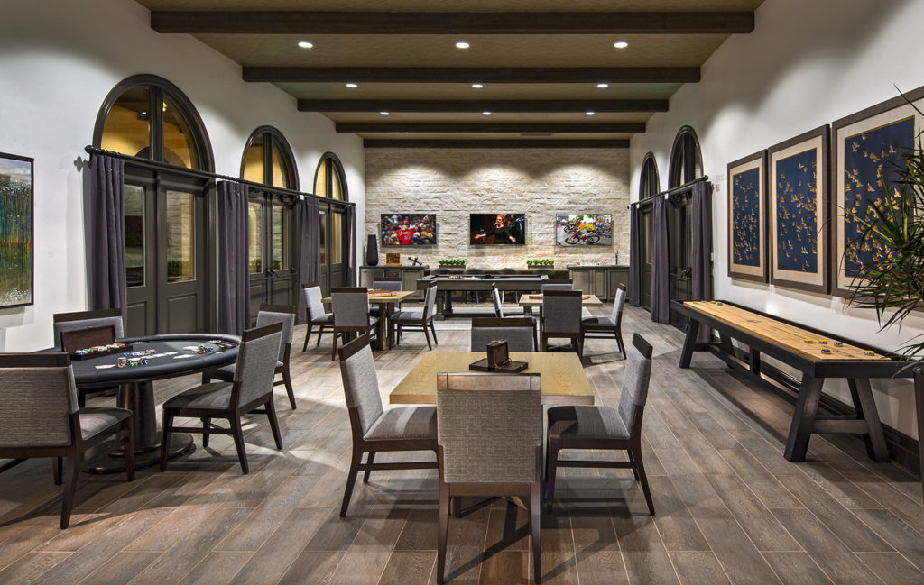 A Passion for Excitement - Terramor